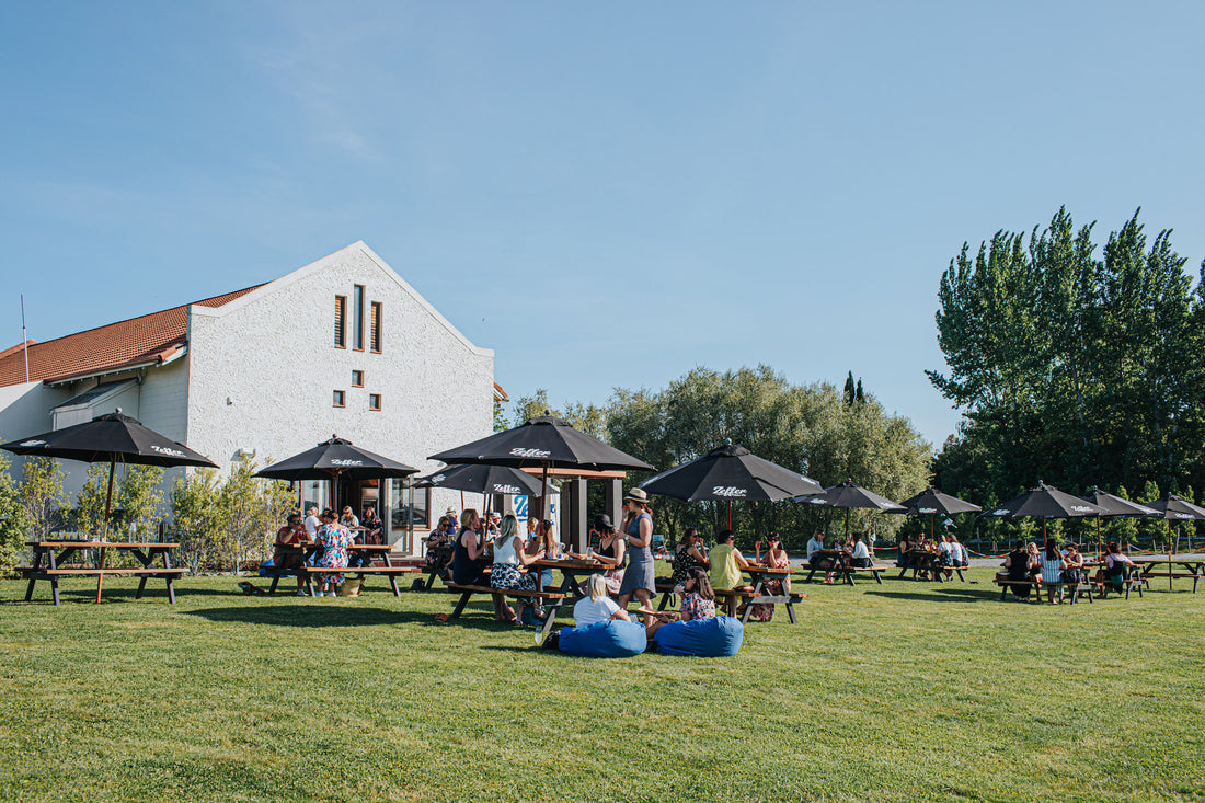 Buy Zeffer Cider and Alcoholic Drinks Online – Zeffer NZ