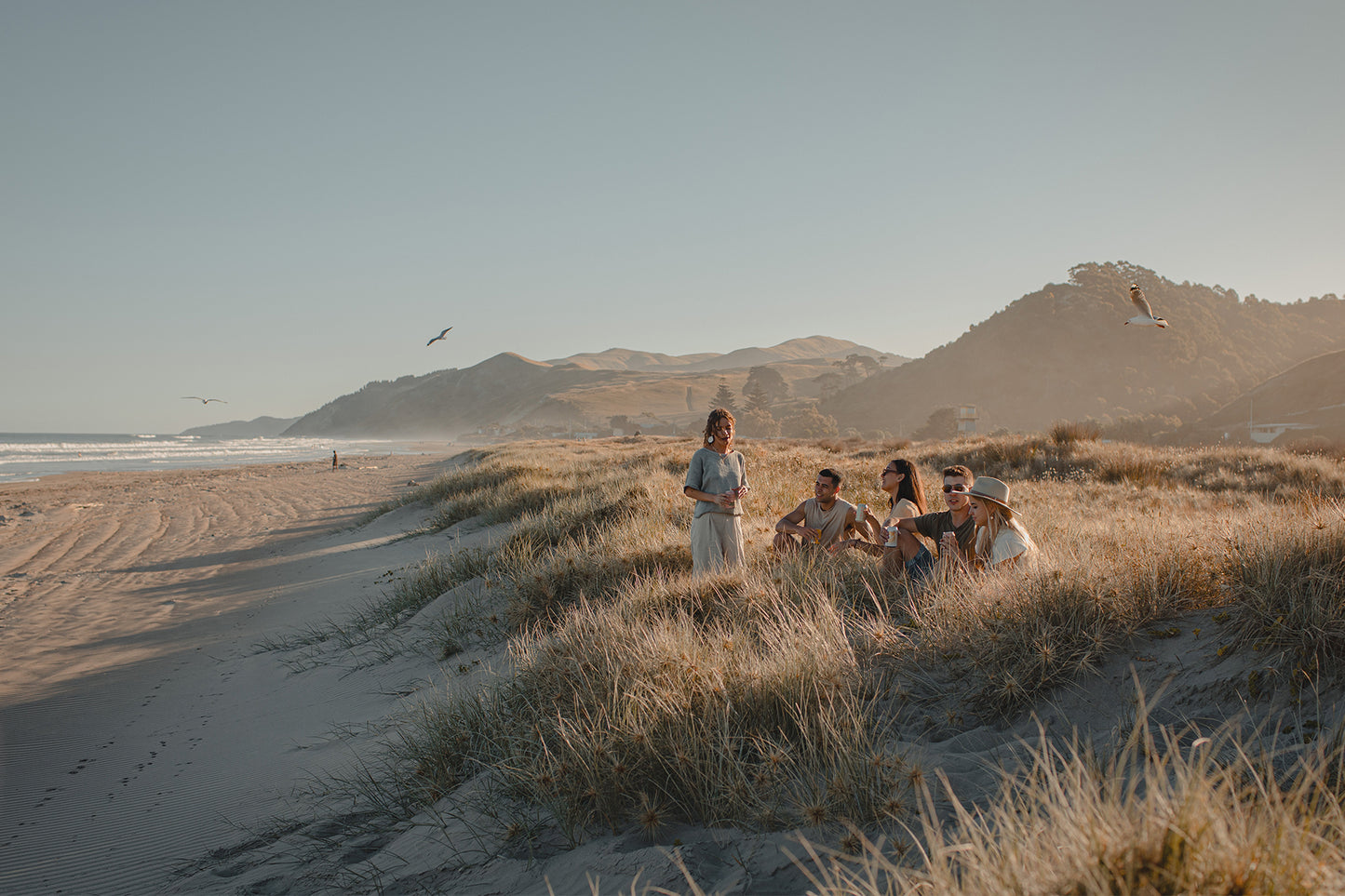 Buy Zeffer Cider and Alcoholic Drinks Online – Zeffer NZ